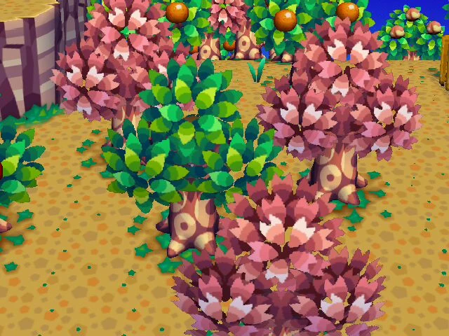 Arbre | Animal Crossing Wiki | Fandom