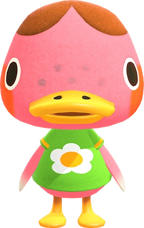 Caro | Animal Crossing Wiki | Fandom