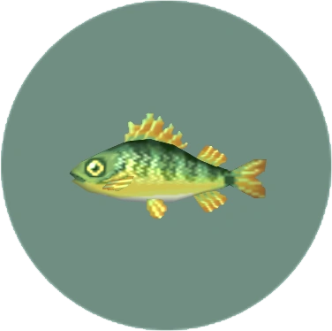 Yellow perch | Animal Crossing Wiki | Fandom