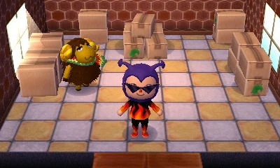 Curlos/Gallery | Animal Crossing Wiki | Fandom