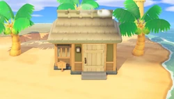 Coco | Animal Crossing Wiki | Fandom