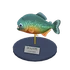 Bug & Fish Art | Animal Crossing Wiki | Fandom