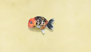 Ranchu goldfish | Animal Crossing Wiki | Fandom