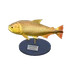 Bug & Fish Art | Animal Crossing Wiki | Fandom