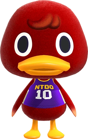 Choco | Animal Crossing Wiki | Fandom