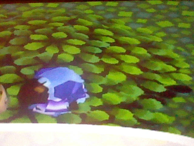 Baabara/Gallery | Animal Crossing Wiki | Fandom