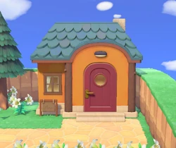 Sandy | Animal Crossing Wiki | Fandom