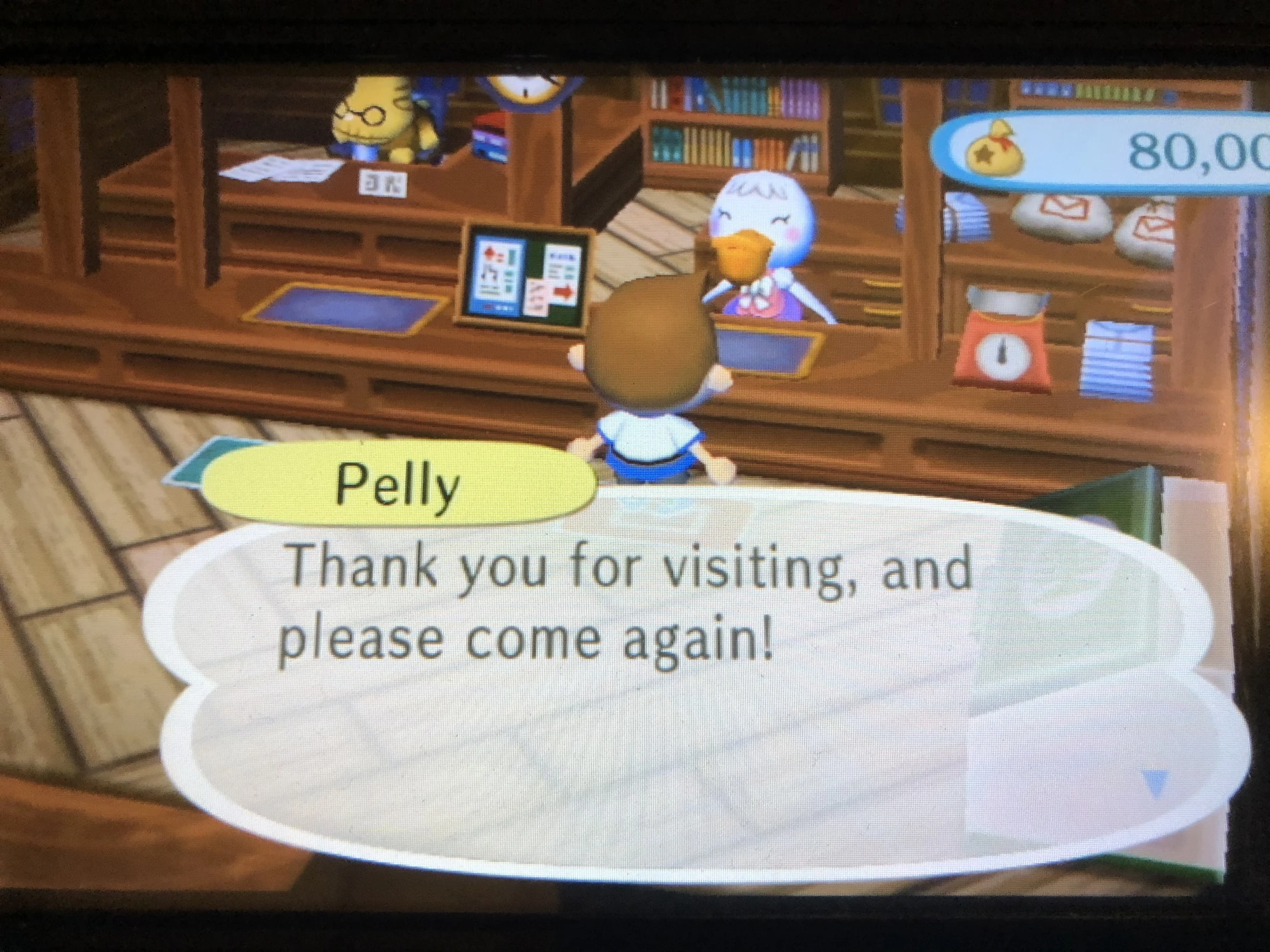 Pelly/Gallery | Animal Crossing Wiki | Fandom