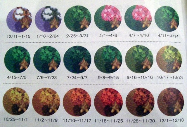 Image - Tree guide.jpeg | Animal Crossing Wiki | FANDOM powered by Wikia