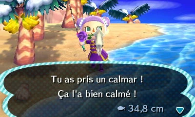 Calmar | Animal Crossing Wiki | Fandom