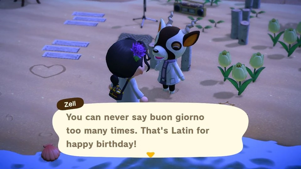 Zell/Gallery | Animal Crossing Wiki | Fandom