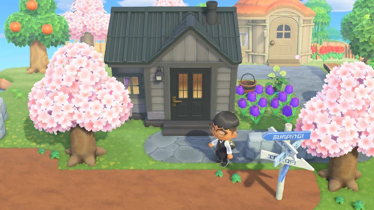 Rosco | Animal Crossing Wiki | Fandom