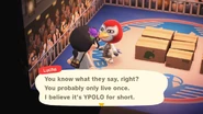 Lucha/Gallery | Animal Crossing Wiki | Fandom