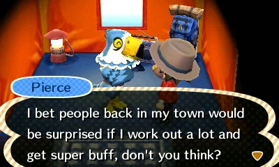 Pierce/Gallery | Animal Crossing Wiki | Fandom