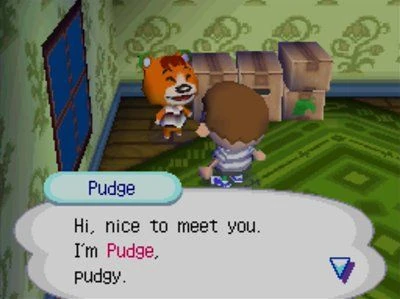 Pudge/Gallery | Animal Crossing Wiki | Fandom