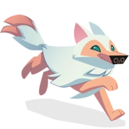 Arctic Wolf | Animal Jam Wiki | Fandom