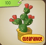 Cactus | Animal Jam Wiki | Fandom