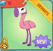 Flamingo | Animal Jam Wiki | Fandom
