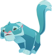 Snow Leopard | Animal Jam Wiki | Fandom
