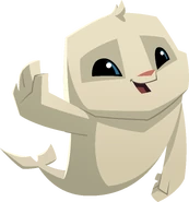 Seal | Animal Jam Wiki | FANDOM powered by Wikia