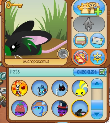 Image - Pet mouse from codes.png | Animal Jam Wiki | FANDOM powered by ...