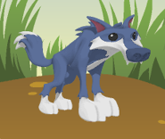 Wolf | Animal Jam Wiki | FANDOM powered by Wikia