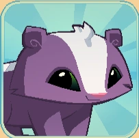 Skunk | Animal Jam Wiki | Fandom