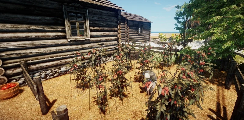 Tomato Farm | Animallica Wiki | Fandom