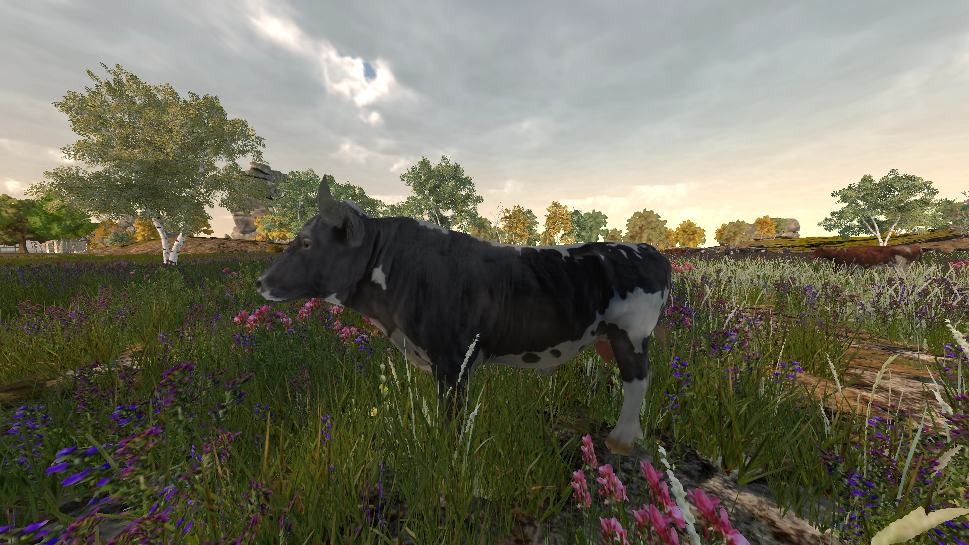 Holstein Cattle | Animallica Wiki | Fandom