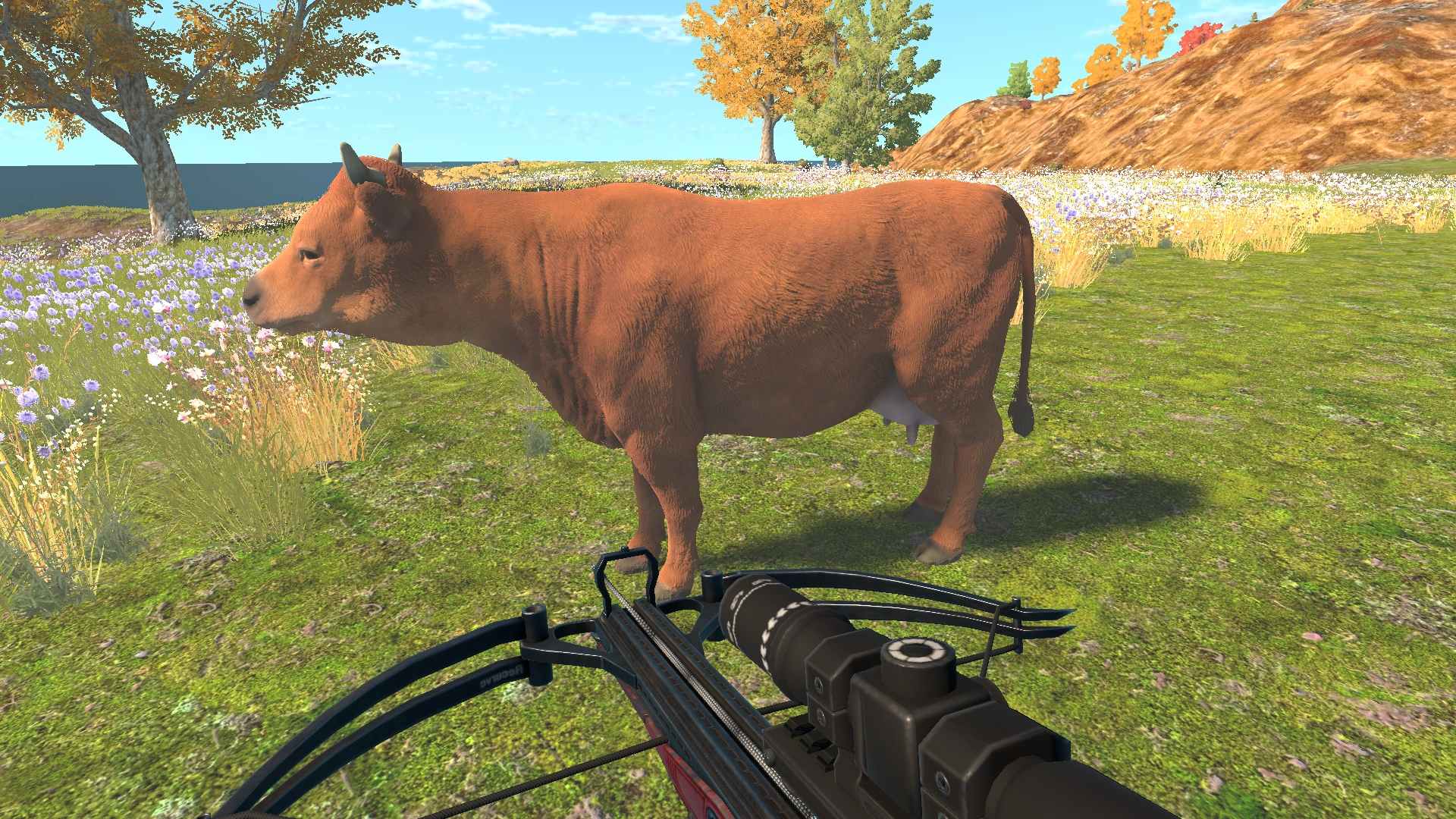Devon Cattle | Animallica Wiki | Fandom