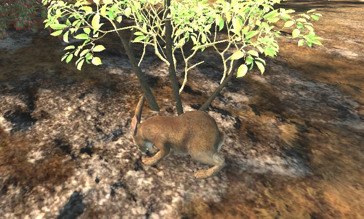 Category:Rabbits and Hares | Animallica Wiki | Fandom