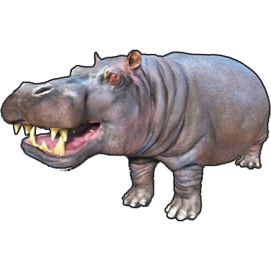 Hippopotamus | Animallica Wiki | Fandom