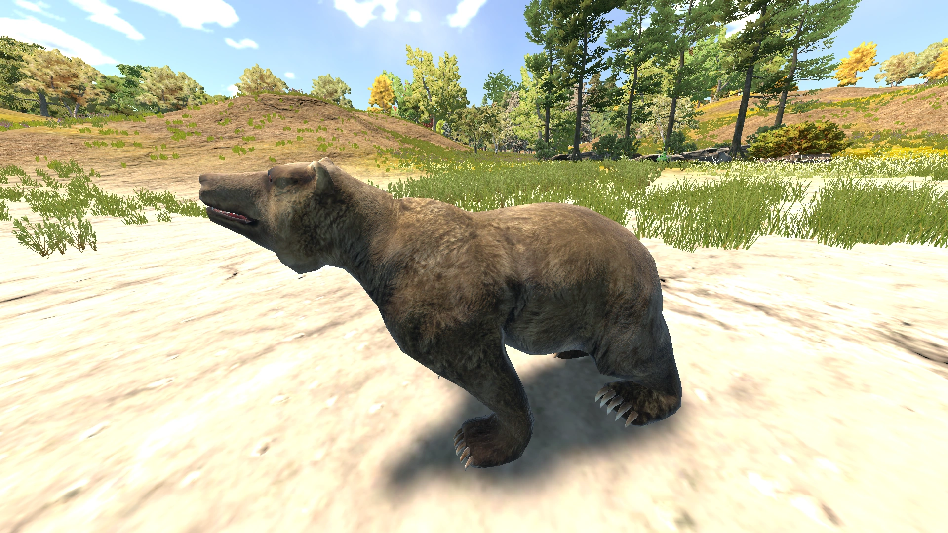 Grizzly Bear | Animallica Wiki | Fandom