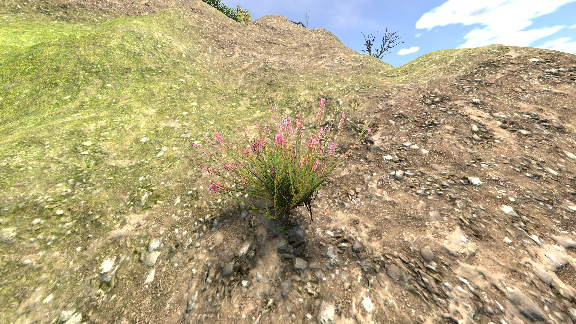 Category:Farming | Animallica Wiki | Fandom