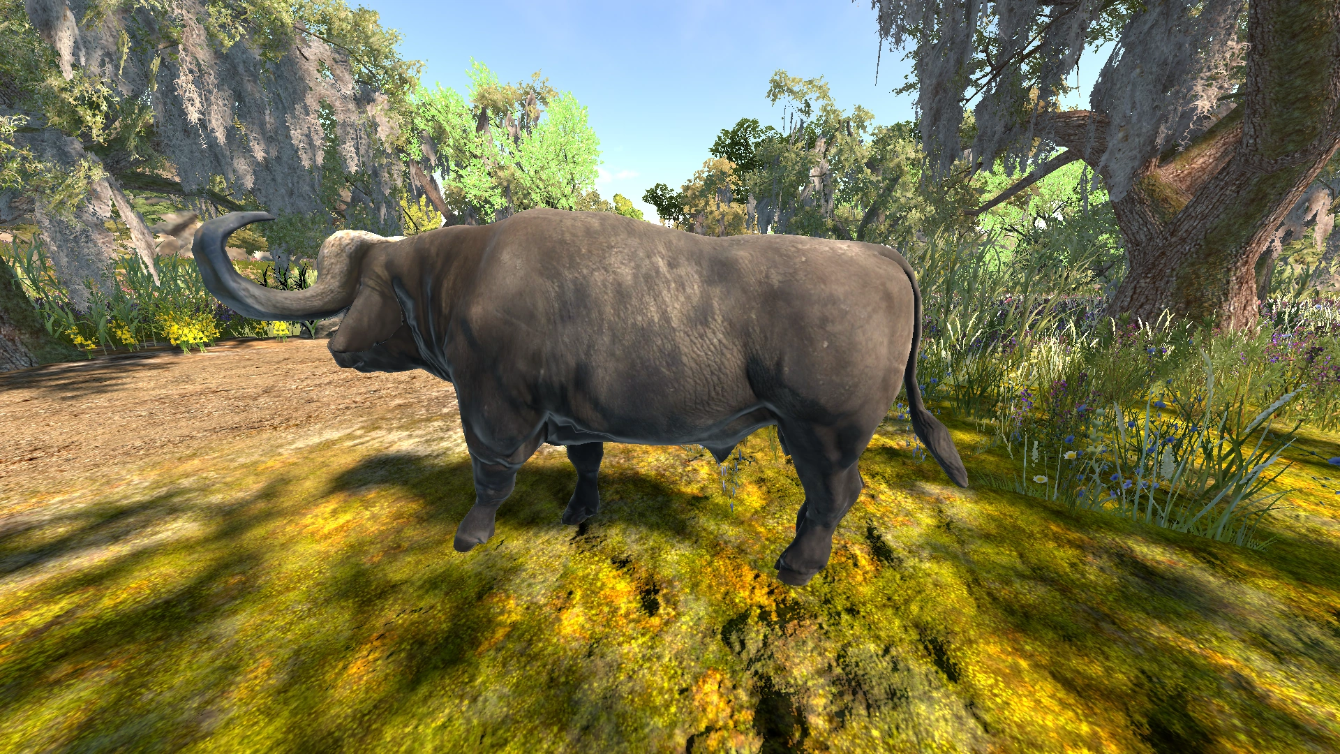 African Buffalo | Animallica Wiki | Fandom