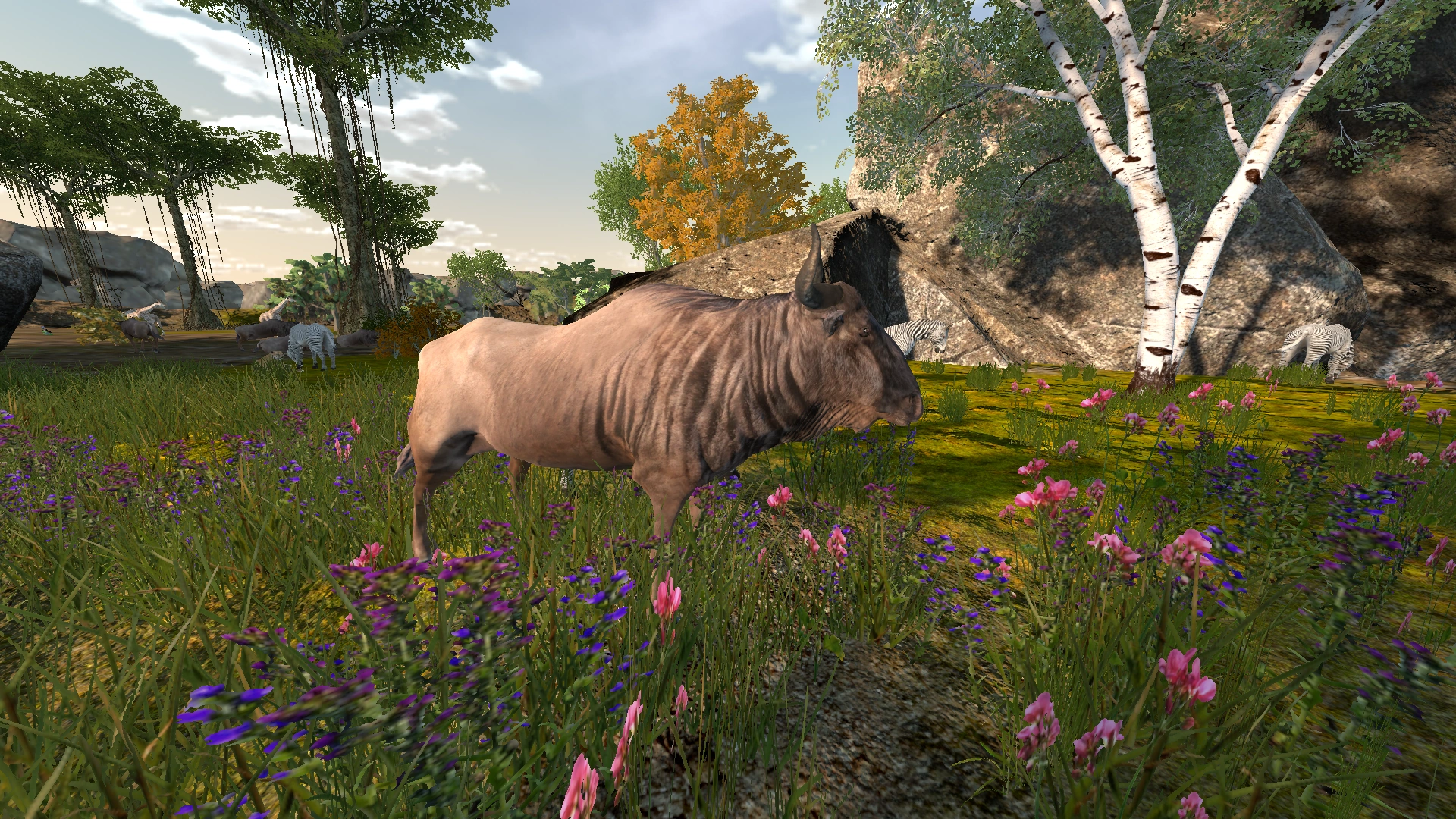 Wildebeest | Animallica Wiki | Fandom