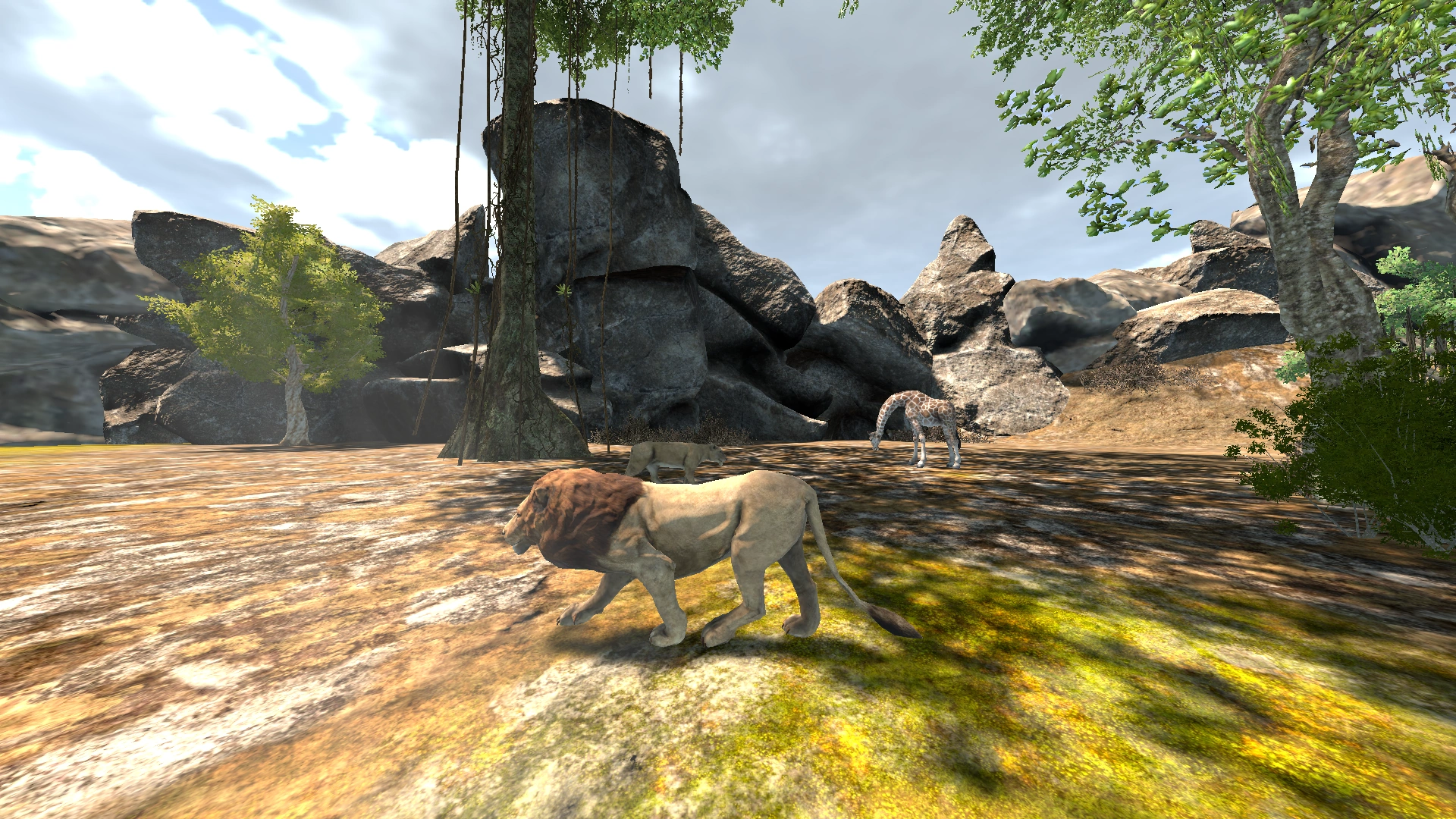 African Lion | Animallica Wiki | Fandom