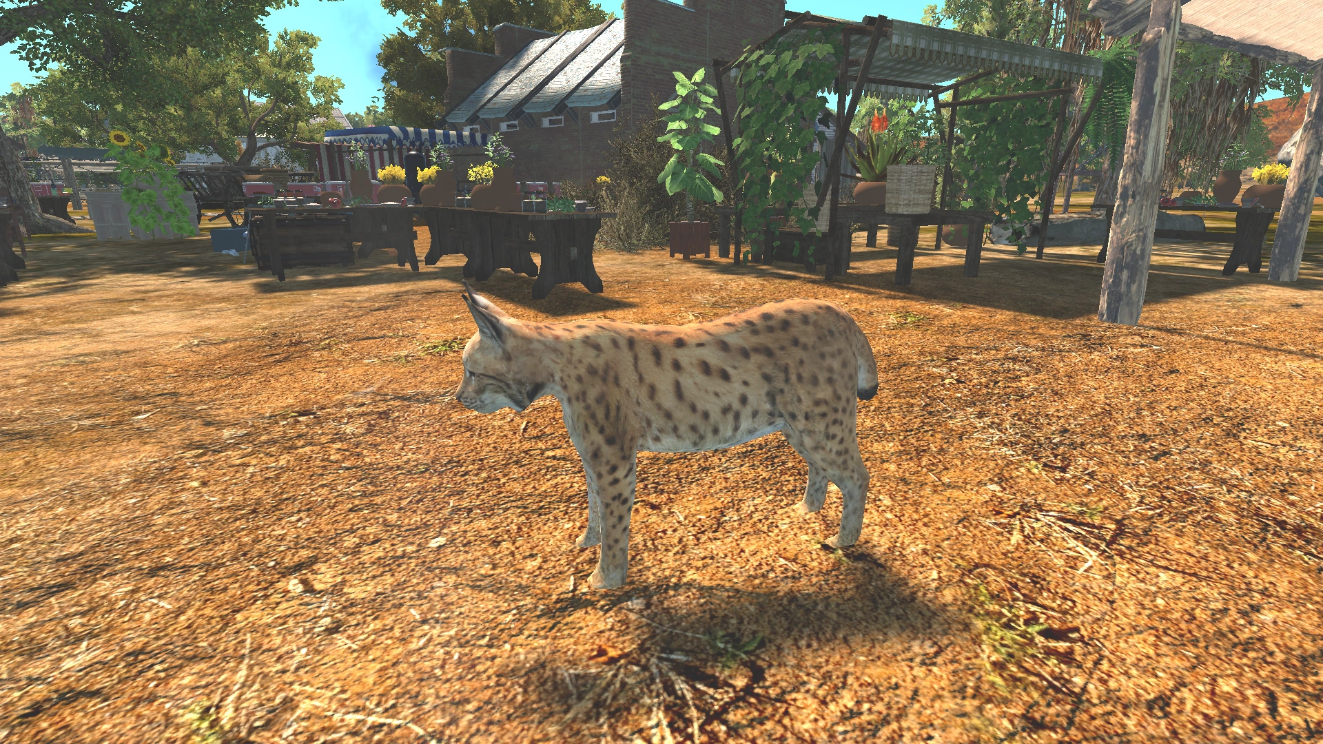 Eurasian Lynx | Animallica Wiki | Fandom