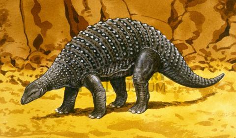 Nodosaurus | Animal of the world Wiki | Fandom