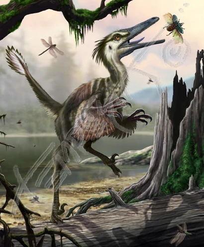 Buitreraptor | Animal of the world Wiki | FANDOM powered by Wikia