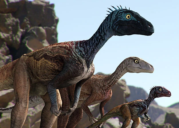 Eoraptor | Animal of the world Wiki | Fandom