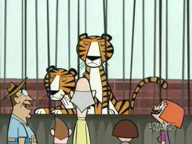 Tiger | Animals Wiki | Fandom