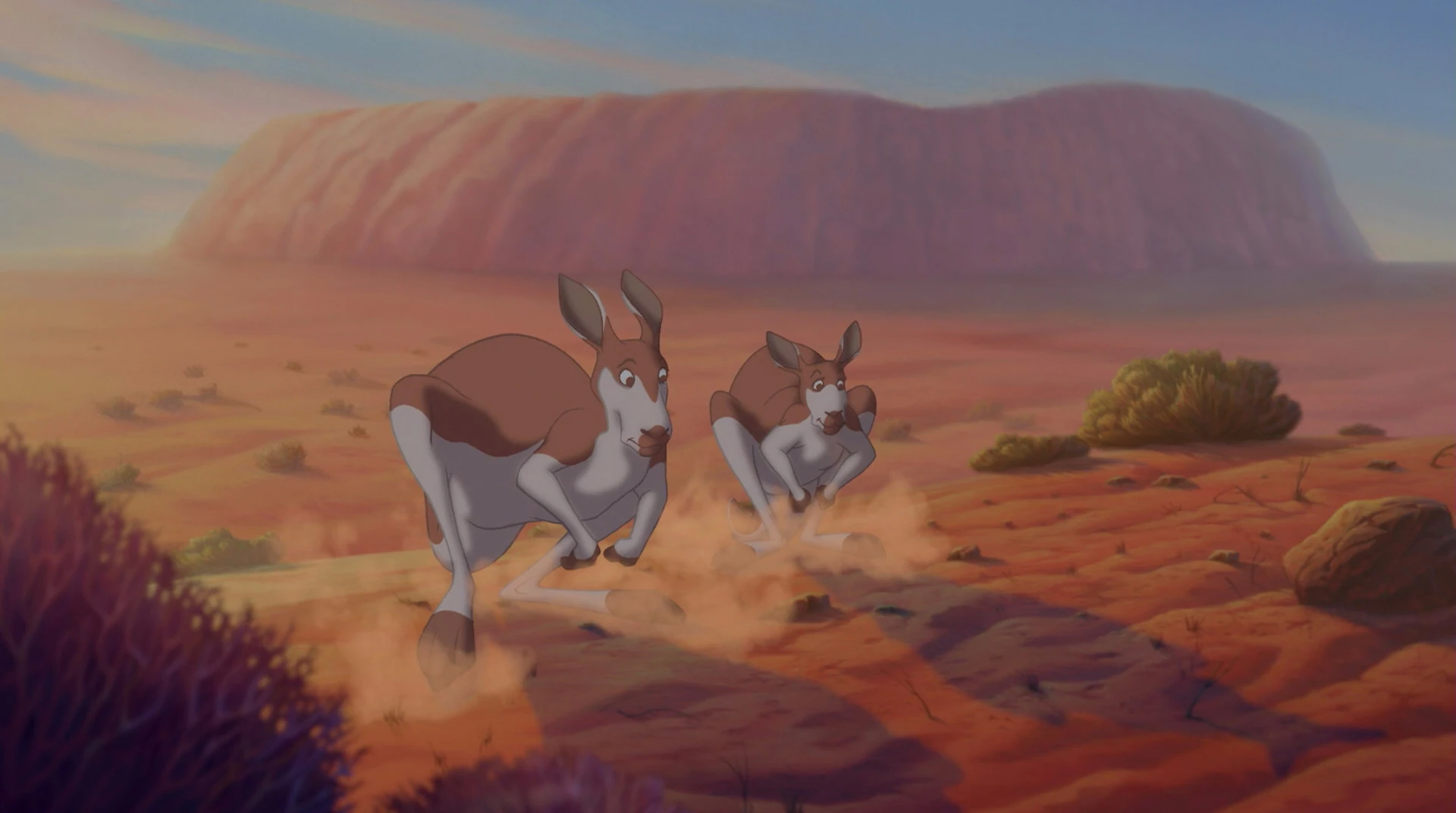 Red Kangaroo | Animals Wiki | FANDOM powered by Wikia