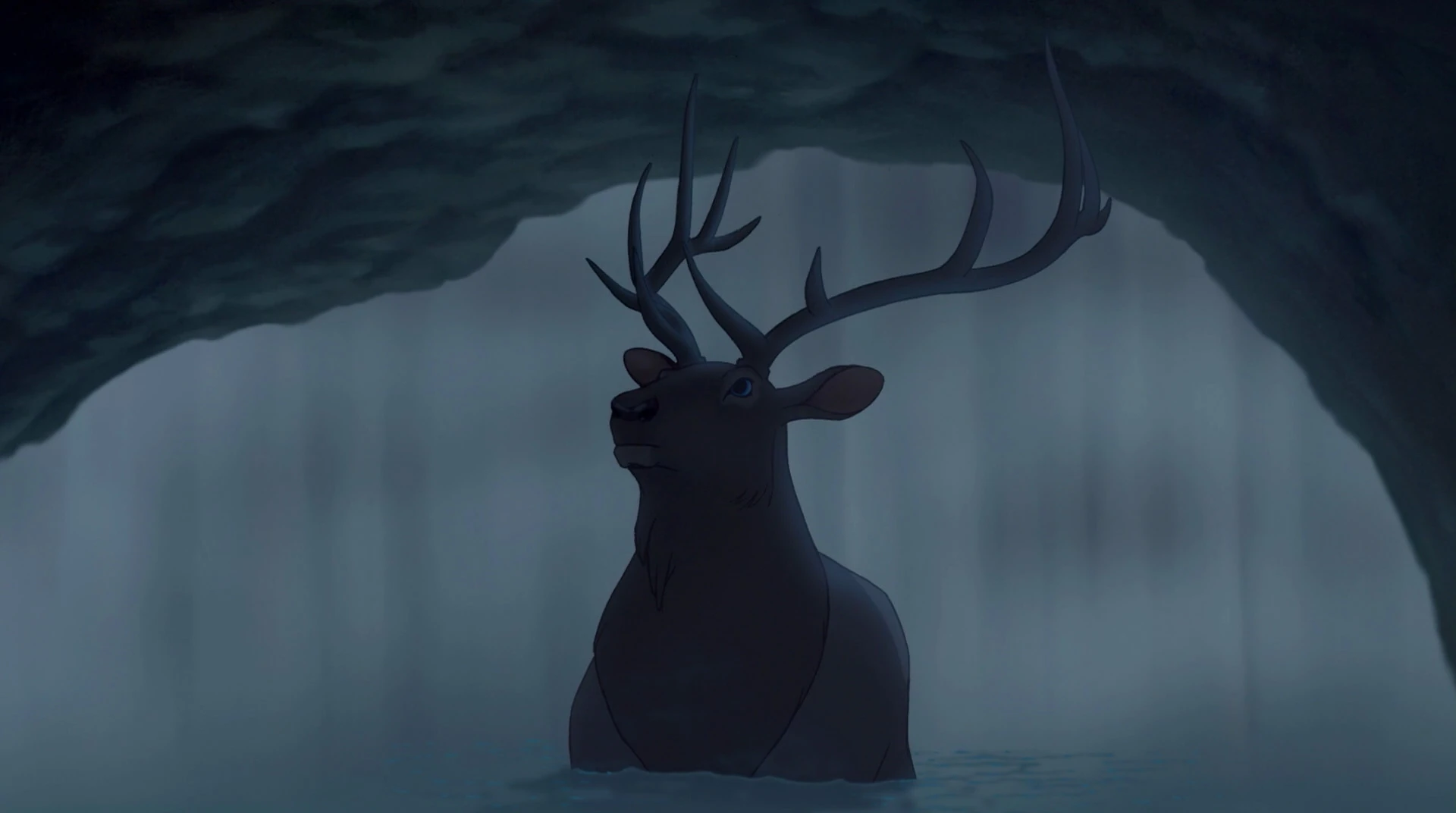 Elk | Animals Wiki | Fandom