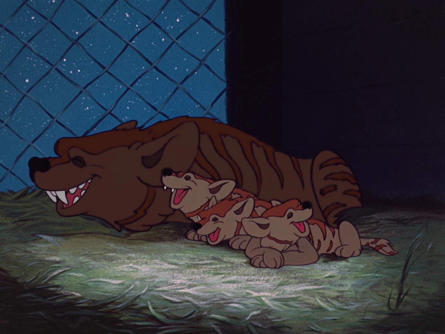 Striped Hyena | Animals Wiki | Fandom