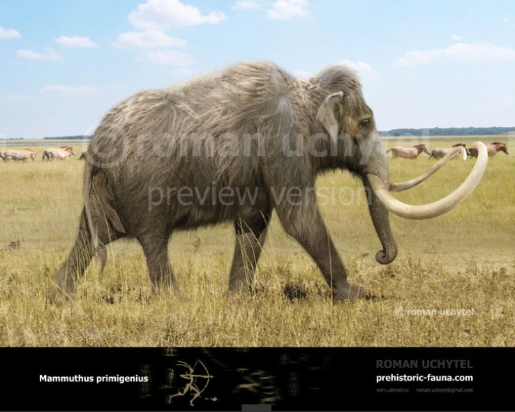 American Woolly Mammoth | Animals Wiki | Fandom