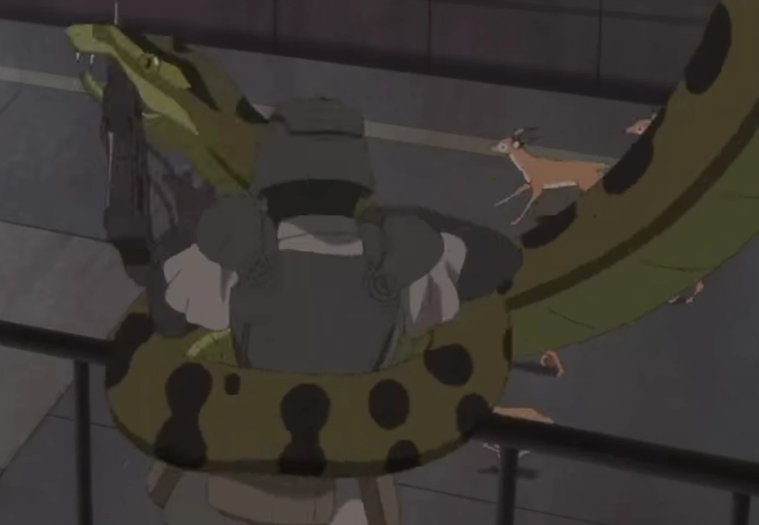 African Rock Python | Animals Wiki | Fandom