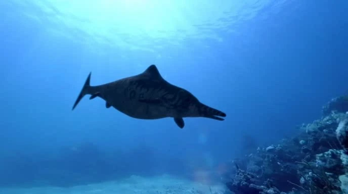 Ophthalmosaurus | Animals Wiki | Fandom