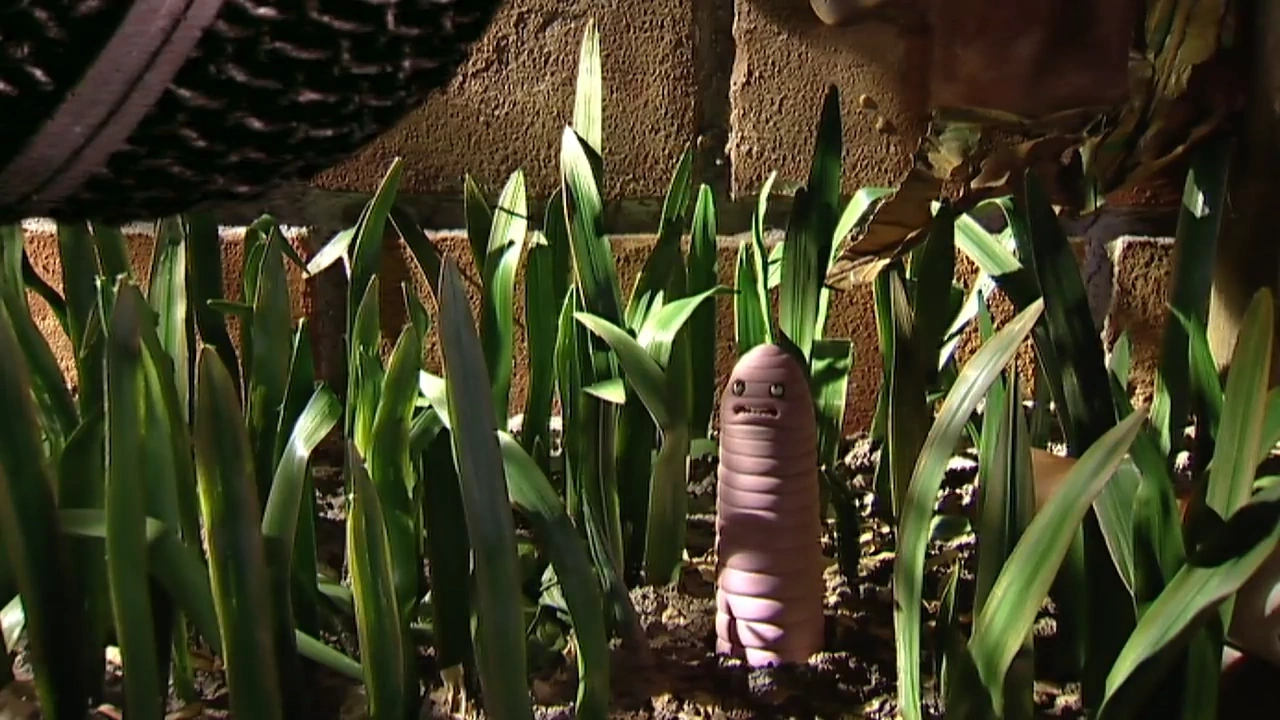 Common Earthworm | Animals Wiki | Fandom