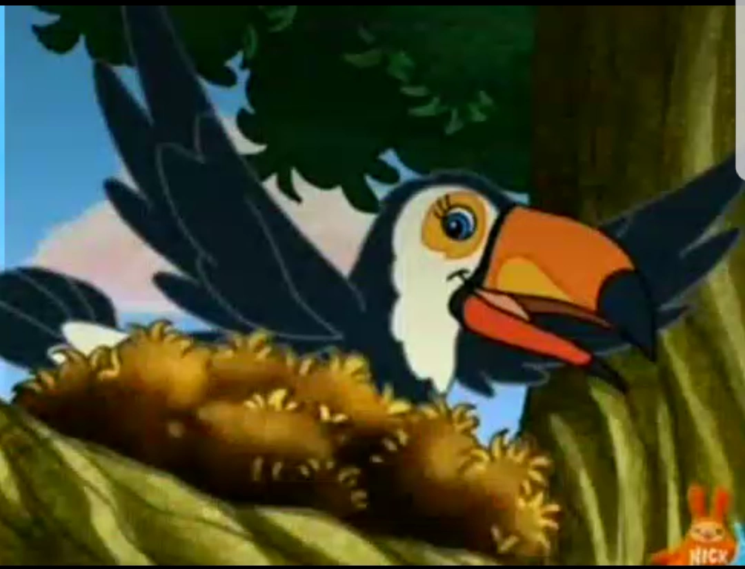 Toco Toucan | Animals Wiki | Fandom